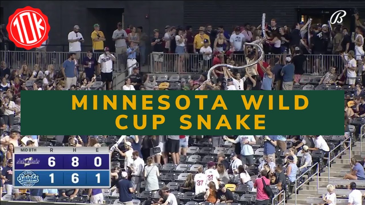 We're Building the First Ever Cup Snake at a Hockey Game | Minnesota ...