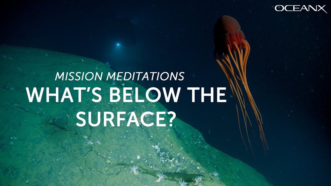 POV: the Alien World of The Deep Sea | Mission Meditations - YouTube