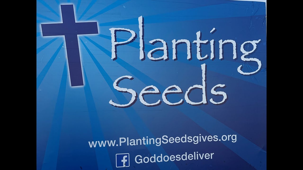 Homelessness: Planting seeds documentary - YouTube