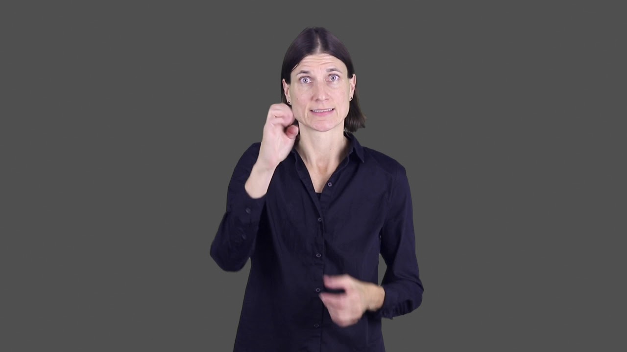 RRPP: Case File Information and Access - YouTube