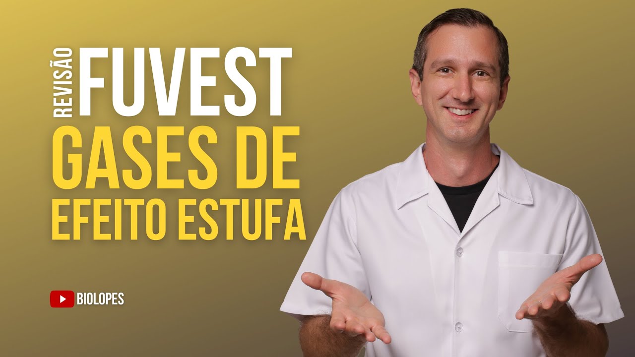 FUVEST 2023 - Emissão total de gases do efeito estufa (GEE) no Brasil ...