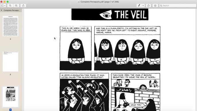 Persepolis Book The Veil