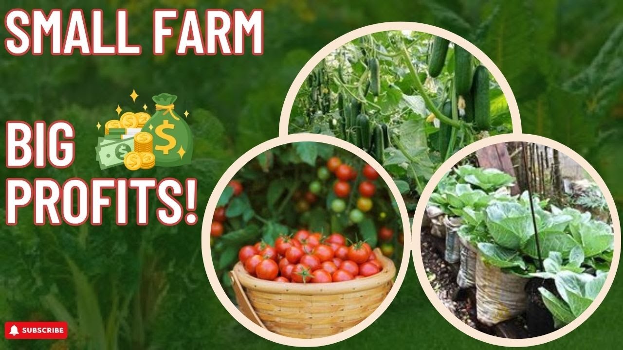 7 High PROFIT Vegetables for Small-scale or Backyard Farms - YouTube