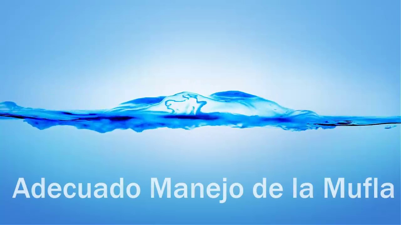 Manejo de la Mufla - Análisis Instrumental - YouTube