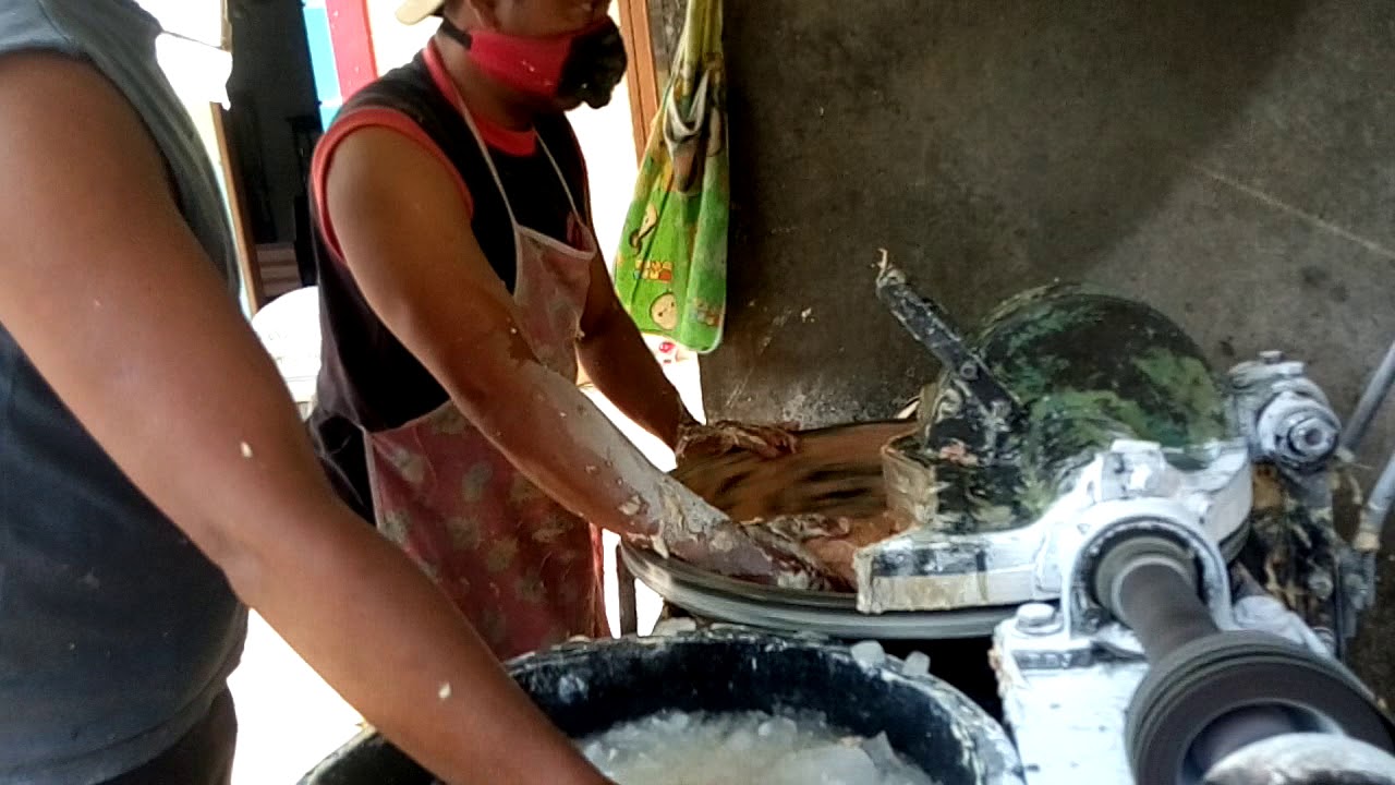 CARA SELEP DAGING SAPI / AYAM ALGOJO JUNIOR BUAT PENTOL BAKSO - YouTube