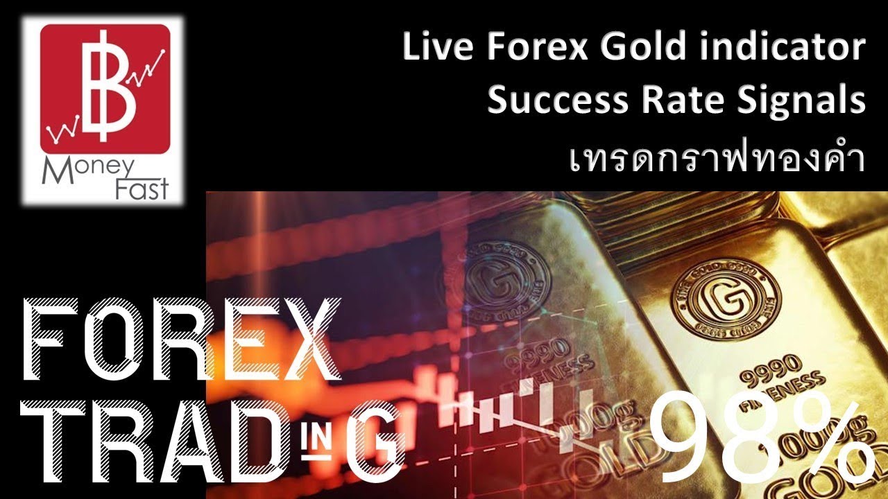 เทรดทองคำ กราฟฟรี Live Forex Gold Signals free 12/6/2025 - YouTube