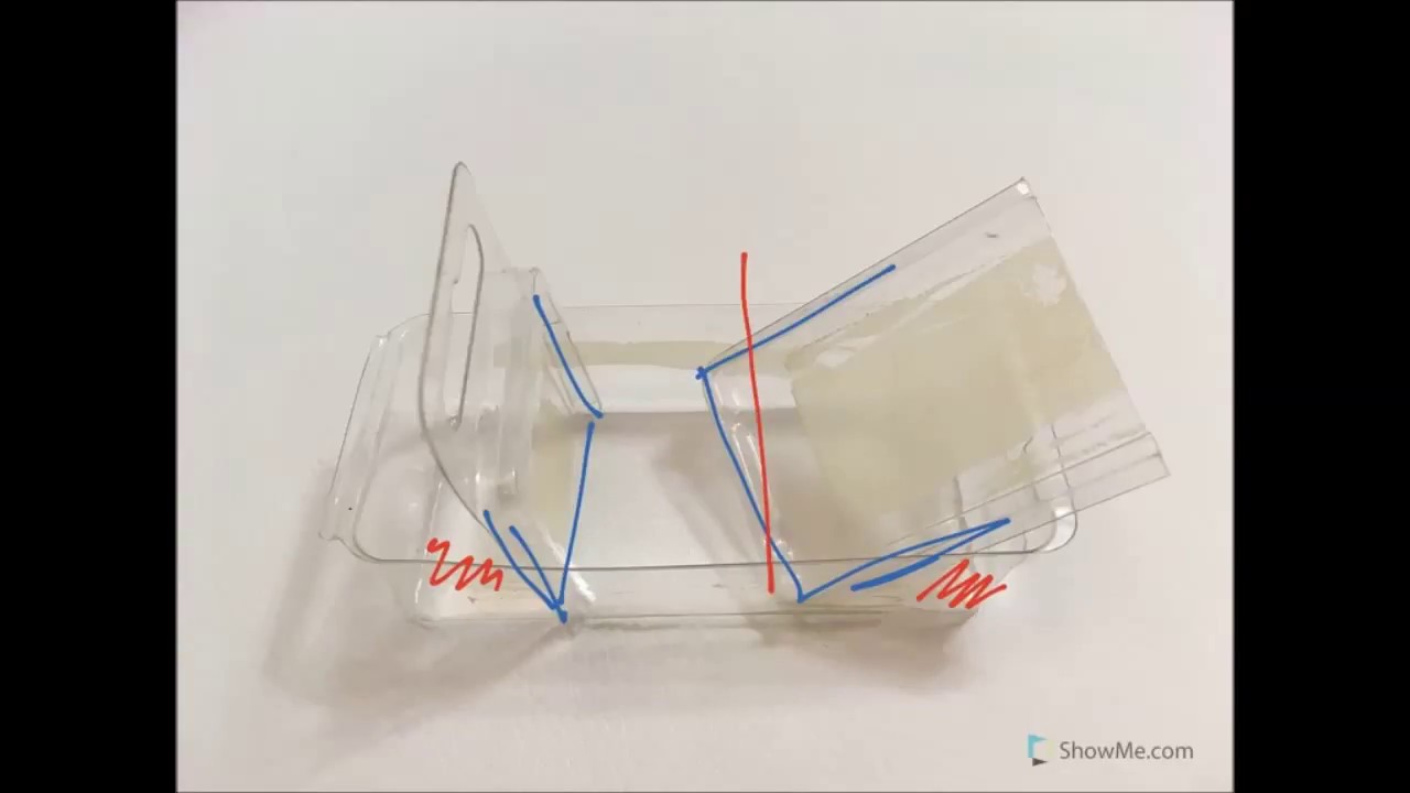 Does it Work – DIY dipping powder tray/container fast, cheap, easy ...