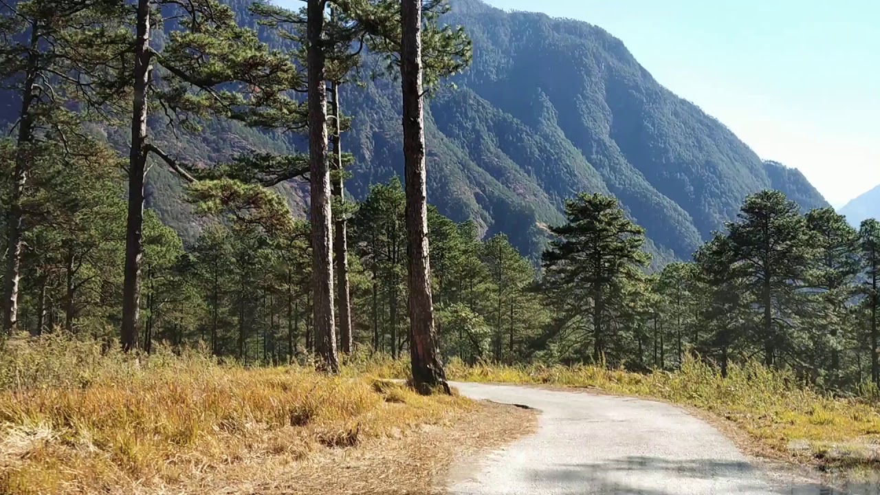 Way to Kibithu, Arunachal Pradesh, India - YouTube