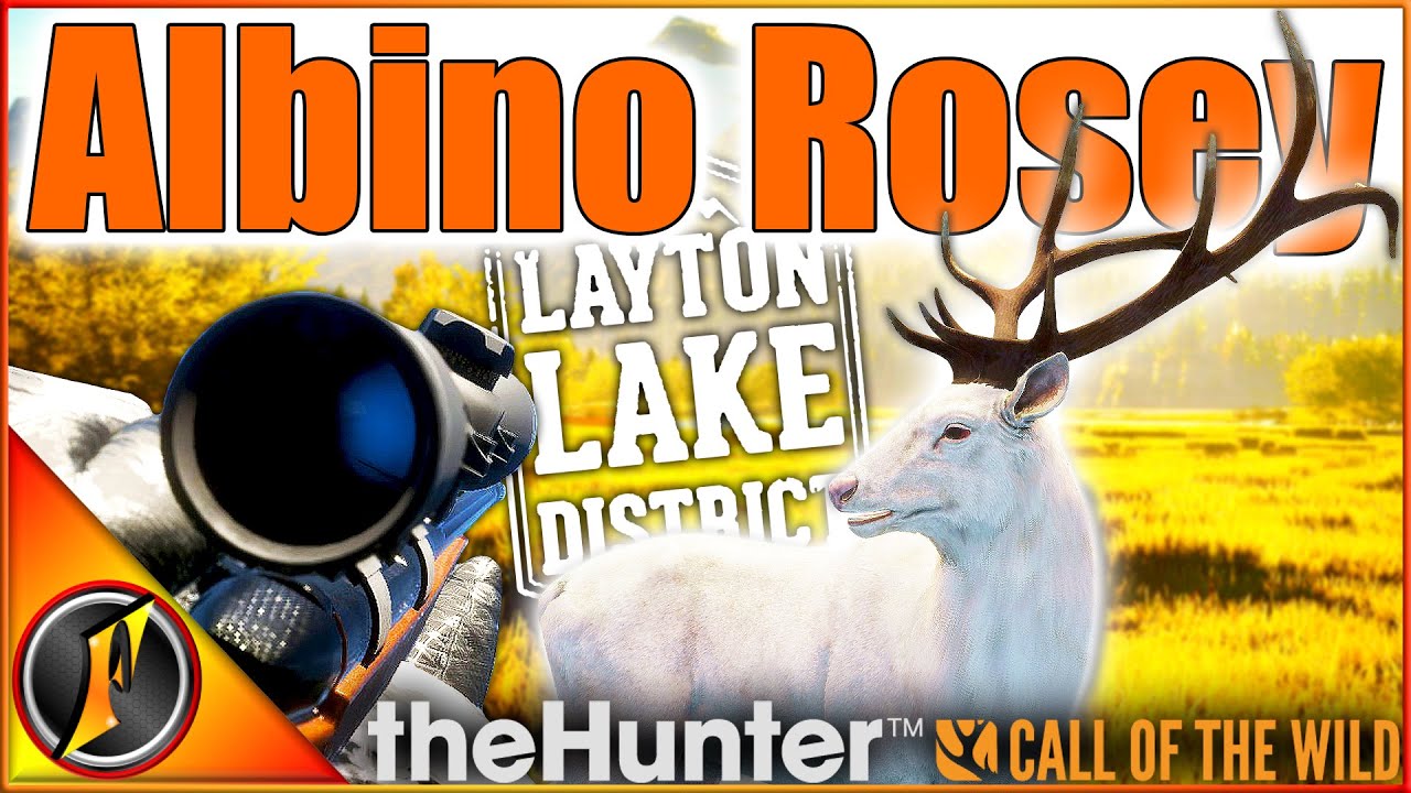One of Layton's RAREST Trophies! | ALBINO BULL ELK in Call of the Wild ...