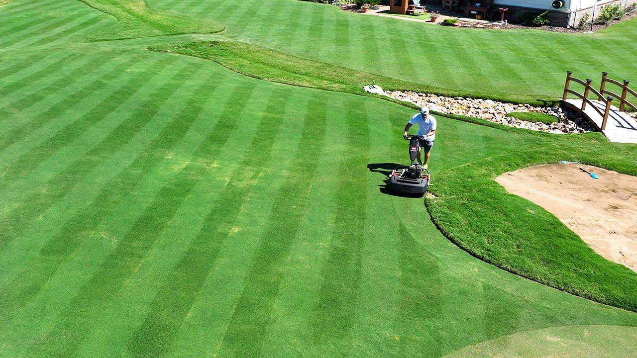 Lawn and Ultra Dwarf Update - YouTube