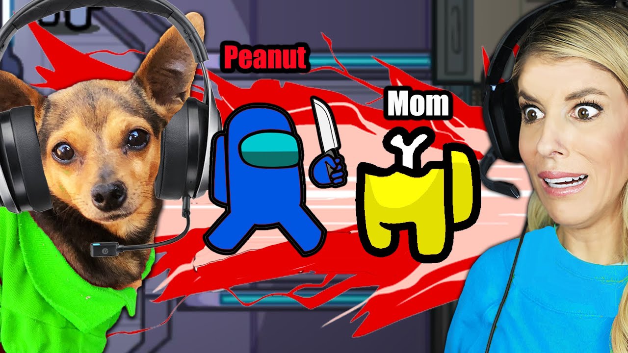 Dogs Play Among Us For the First Time! Imposter IQ 999! PawZam Dog ...