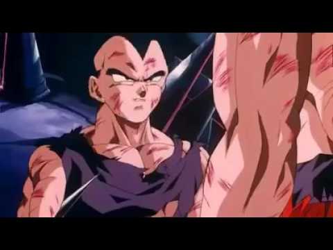 LA FUNCIÓN DE GOKU Y VEGETA "DRAGÓN BALL Z " - YouTube
