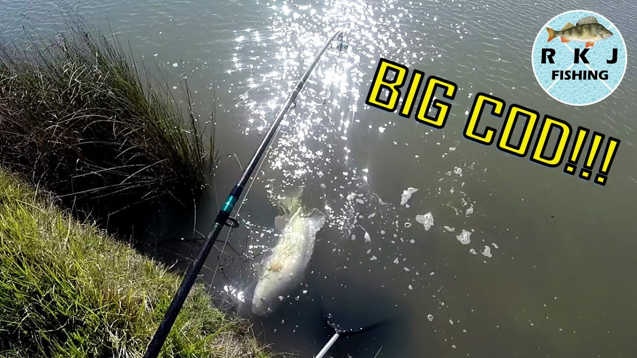 OMG I caught a BIG Murray Cod in the Waranga Western Channel - YouTube