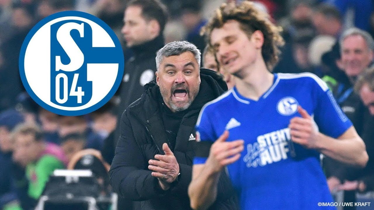 Schalke weiter ohne Jenz - Kral-Wechsel zu Union "nur Gerüchte" | SID ...