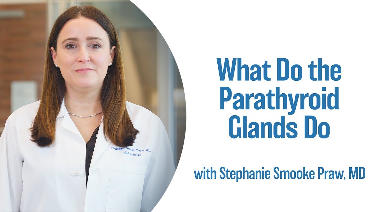 What Do the Parathyroid Glands Do? | UCLA Endocrine Center - YouTube
