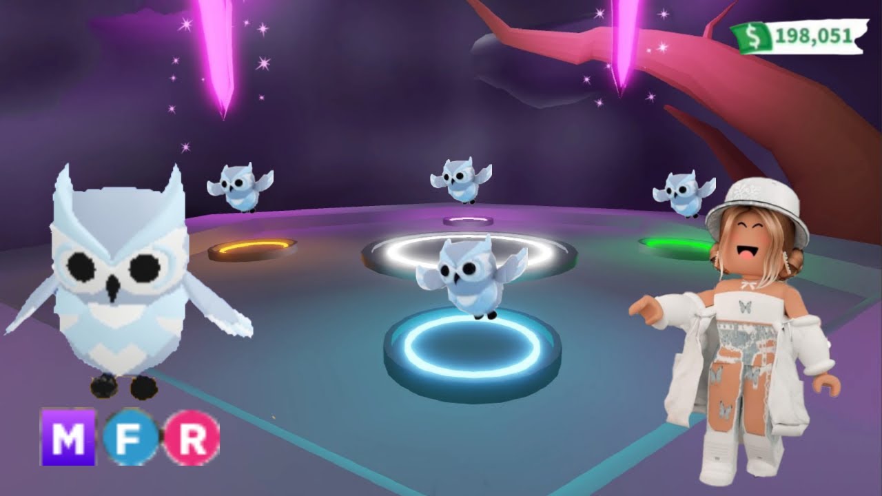 Making a mega snow owl in adopt me and receiving 3 RGB Boxes! - YouTube