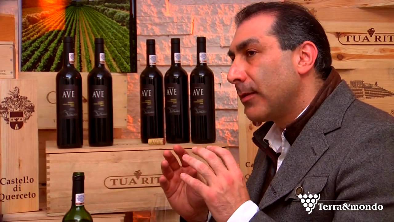 Vinos Tintos Cata AVE Reserva por Roberto Curiel CEO de Terra & Mondo ...