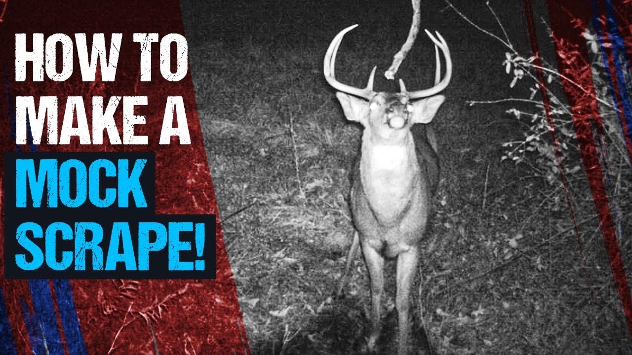 How To Set Up A Mock Scrape | Whitetail Buck Hunting Tips!! - YouTube