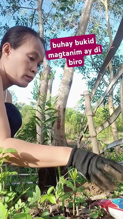 #simpleng buhay bukid - YouTube