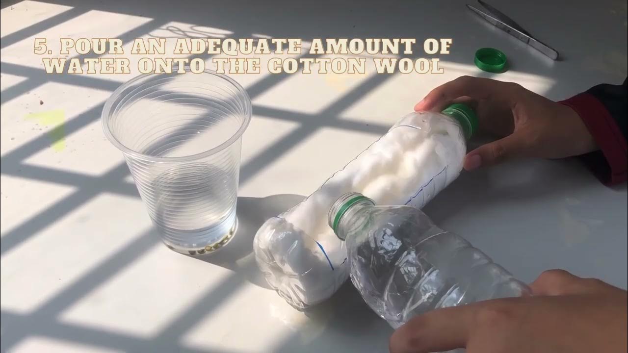 MATRICULATION BIOLOGY EXPERIMENT 6:PLANT GROWTH - YouTube