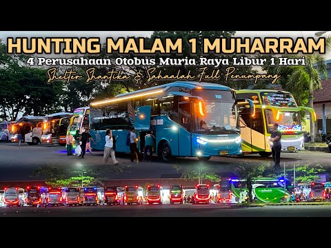 4 PO Muria Raya Libur Malam 1 Muharram‼️New Shantika & Sahaalah Full Panen Penumpang🔥