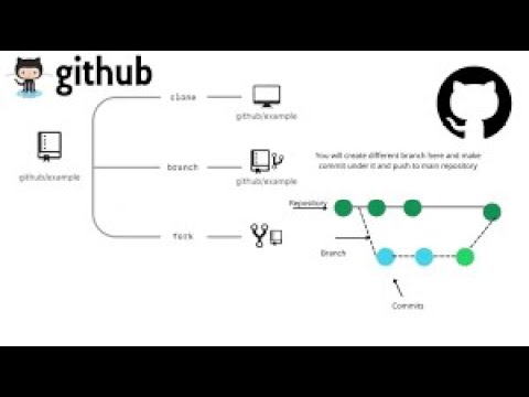 Git Branch concept Git and GitHub || Github class-2 - YouTube