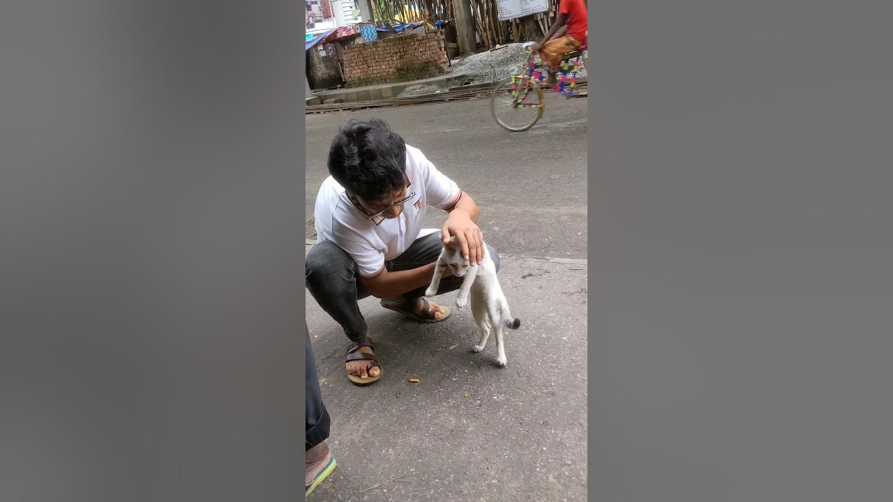 আমার নতুন বন্ধুর সাথে পরিচিত হও ️ | Irfan Emon - YouTube