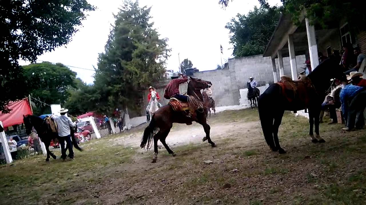 El baile mas perron de jungapeo - YouTube