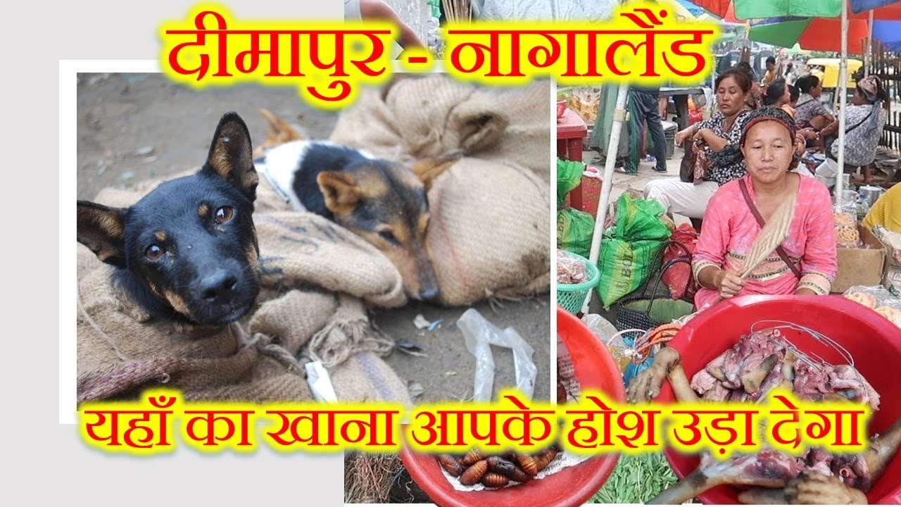 Exploring Dimapur, Nagaland: Hidden Gems & Must-Visit Super Market ...