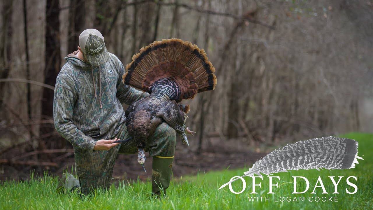 First Turkey on the New Off Days Farm! - YouTube