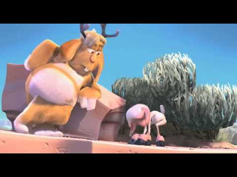 Boundin oveja en crisis