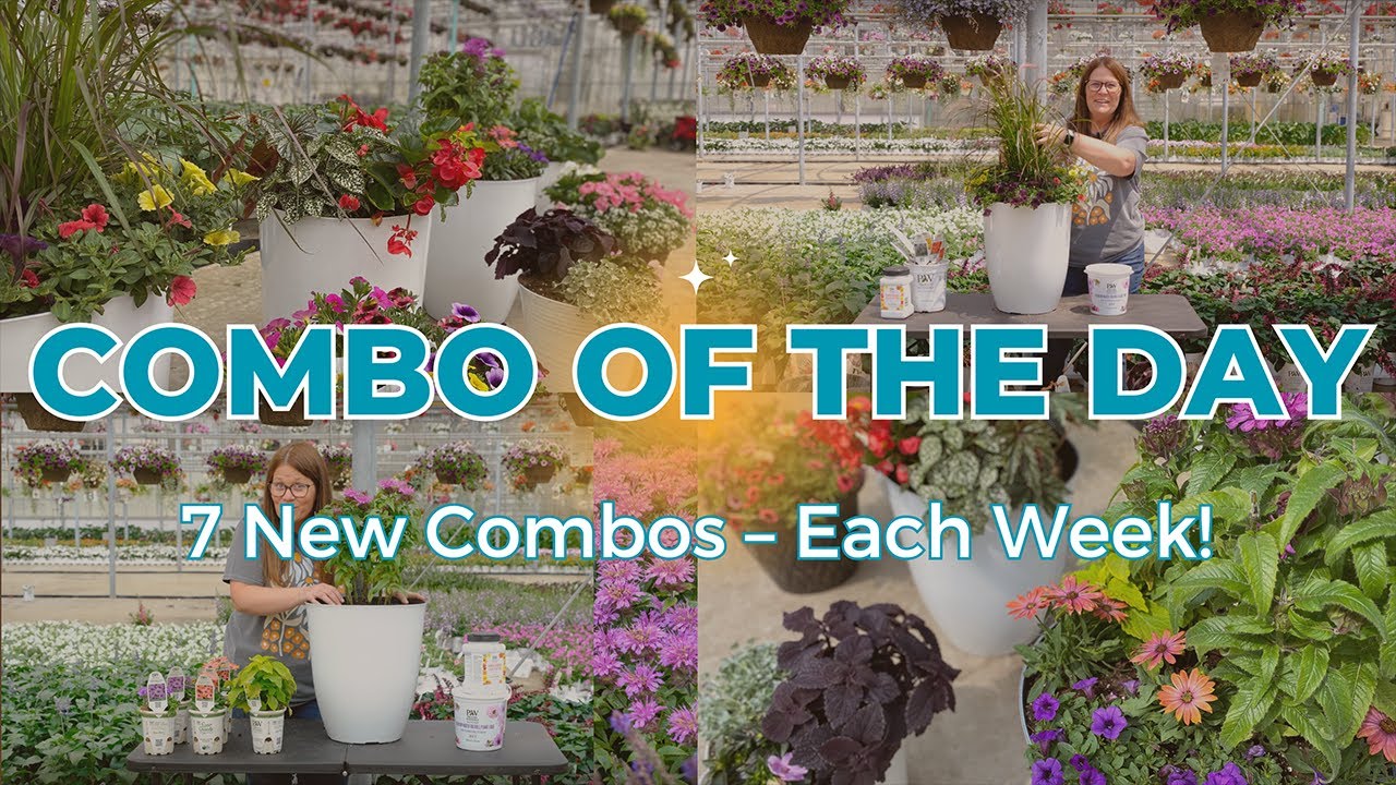 Proven Winners Direct Presents Combo Of The Day (June 19 - June 25 ...