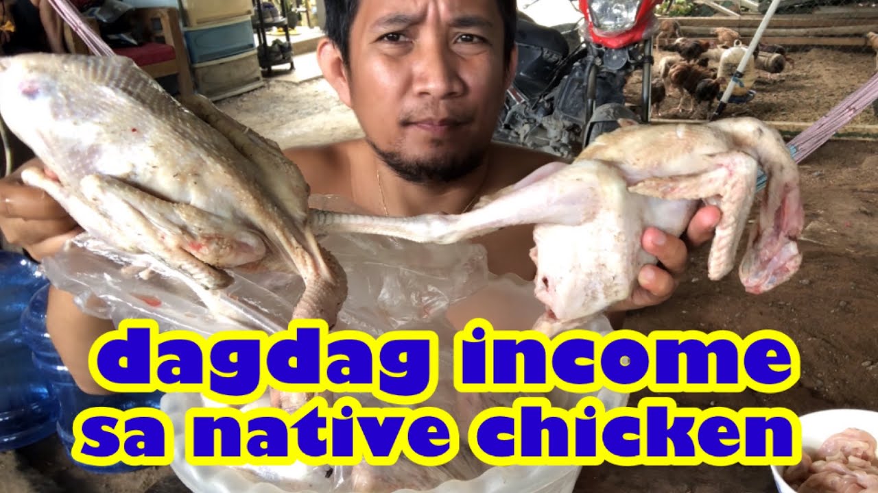 Presyo ng Dressed Native Chicken sa Probinsya | small business in the ...