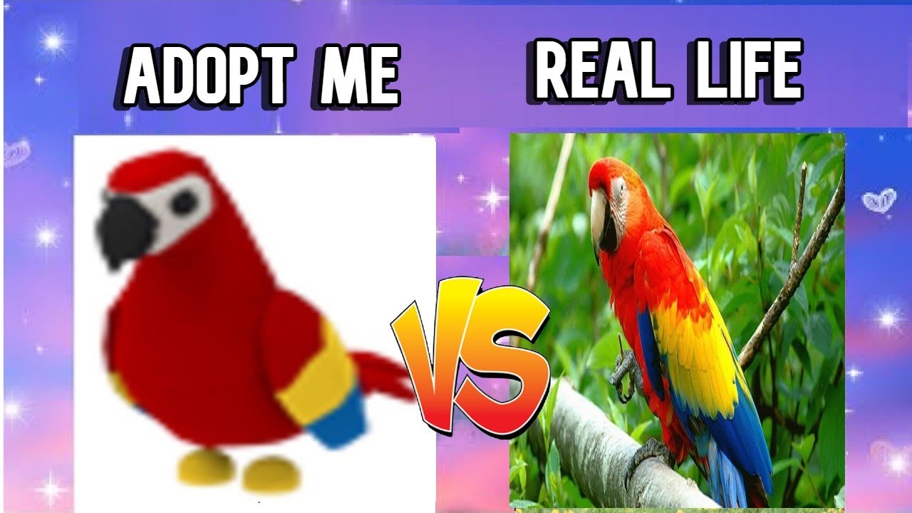 Roblox Adopt me VS Real life! See the Difference! - YouTube