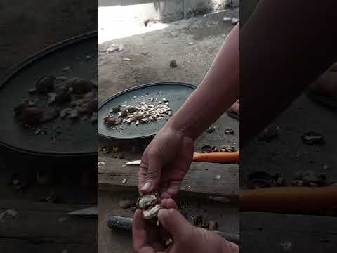 kaya pala napaka mahal ng buto ng kasoy..napaka hirap pala ng proseso ...
