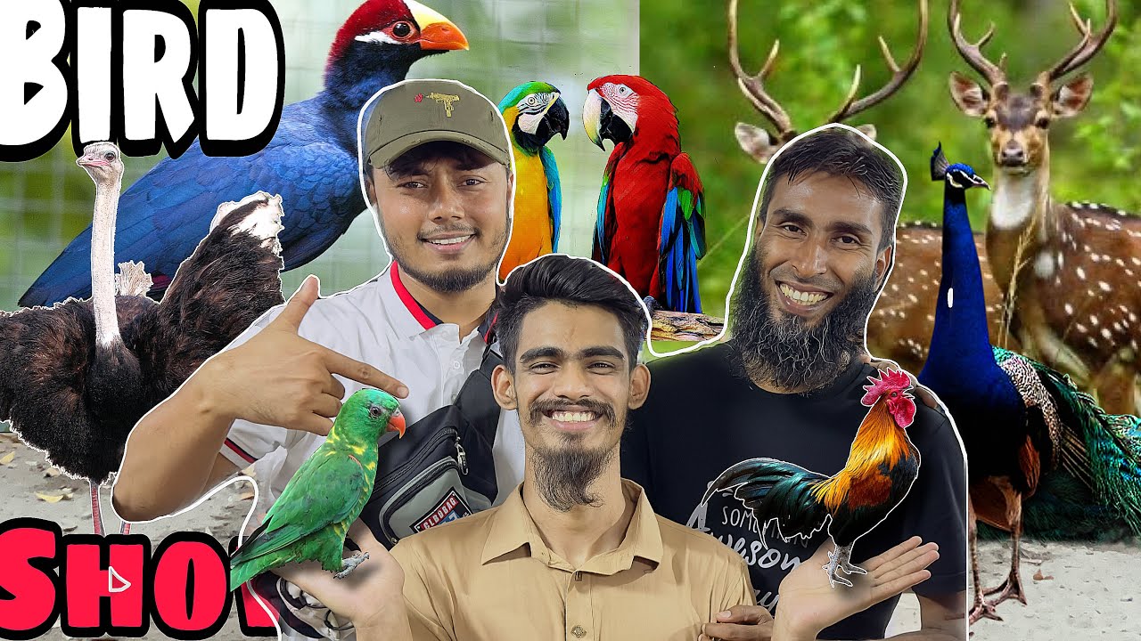 পাখির শোতে Mini Zoo পেয়ে গেলাম 😍 - YouTube