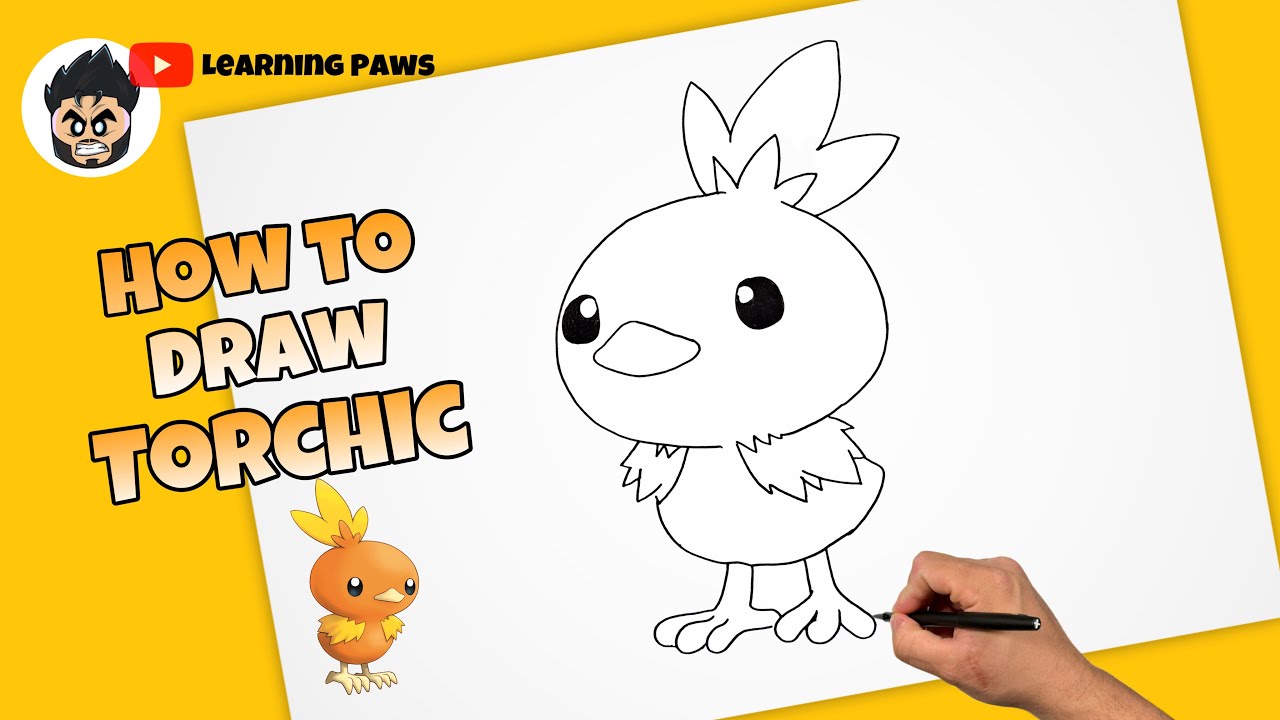 How To Draw Torchic | POKEMON #drawing #torchic #pokemon - YouTube
