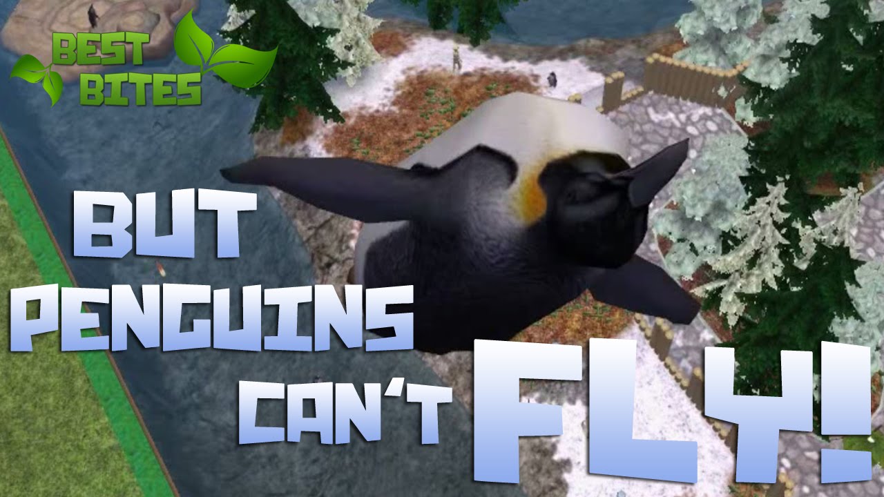 Best Bites || But Penguins Can't Fly! - YouTube