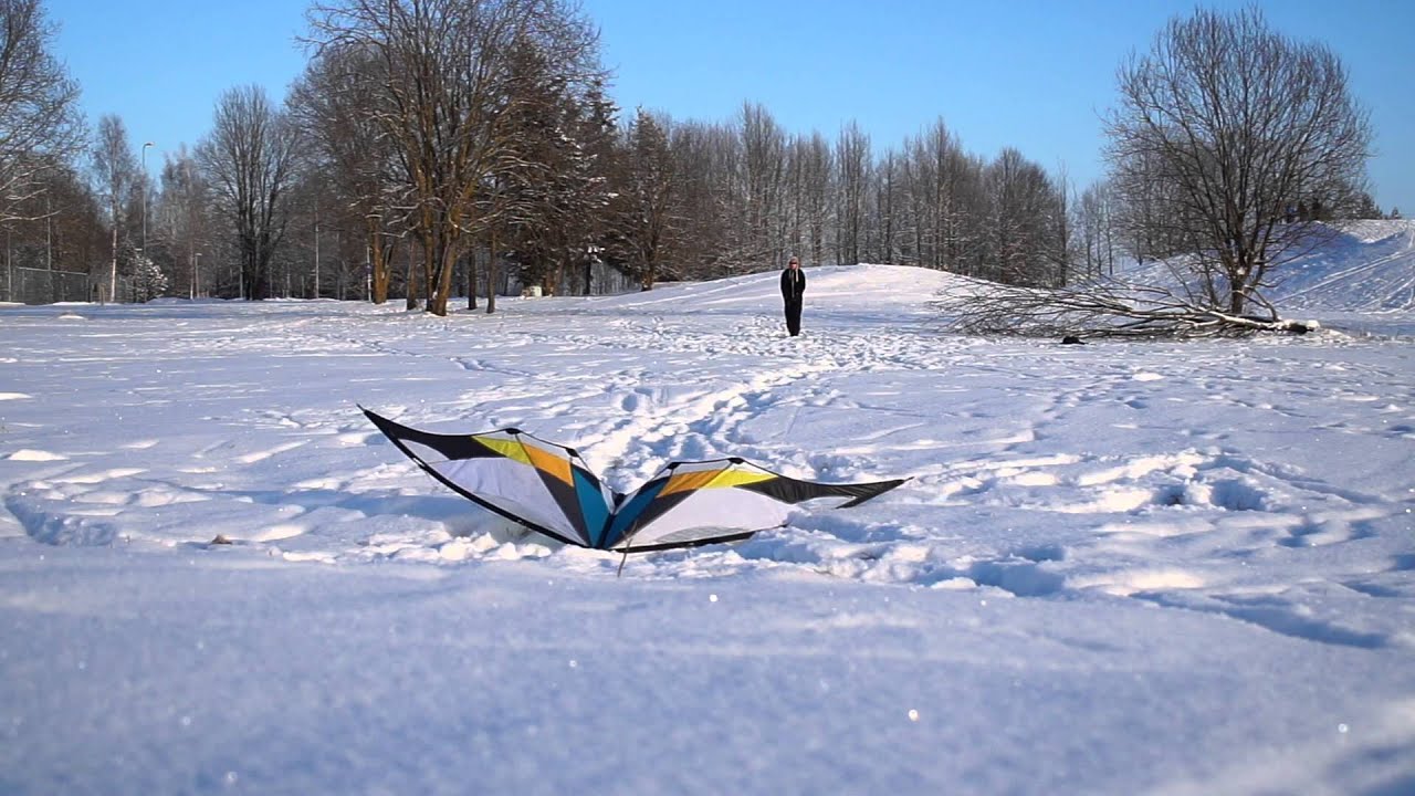 Frozen January 2016. Winter. With a classic kite. - YouTube
