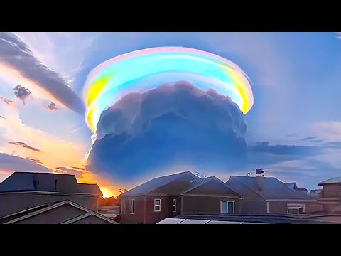 Un moment sur un milliard dans la nature