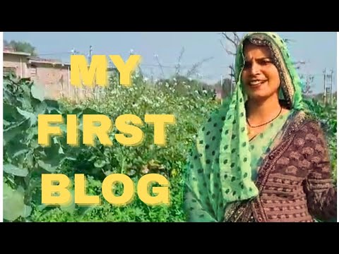 My first Blog 2024 ll my first Blog ll Reeta official - YouTube