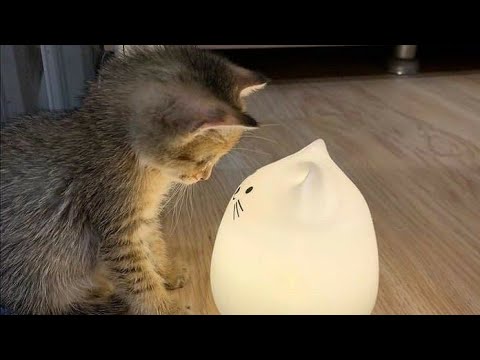 Burcuna göre hangi kolye sana yakışır?