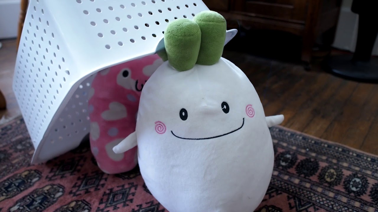 Behind The Scenes With New Evan - YouTube