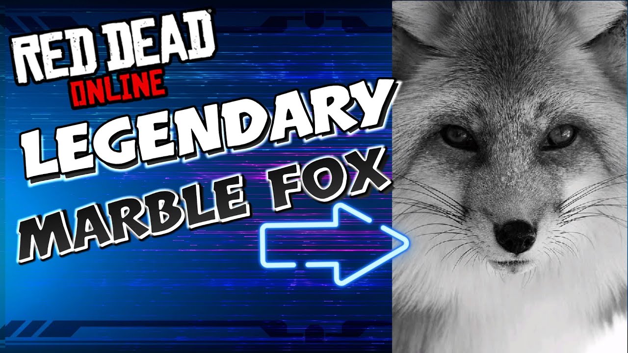 Legendary Marble Fox All locations Red Dead Online Guide - YouTube