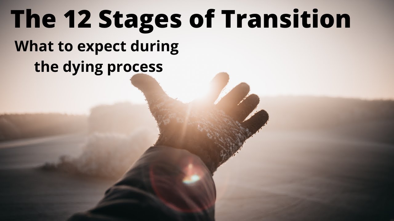 The 12 Stages of Transition After Dying - YouTube