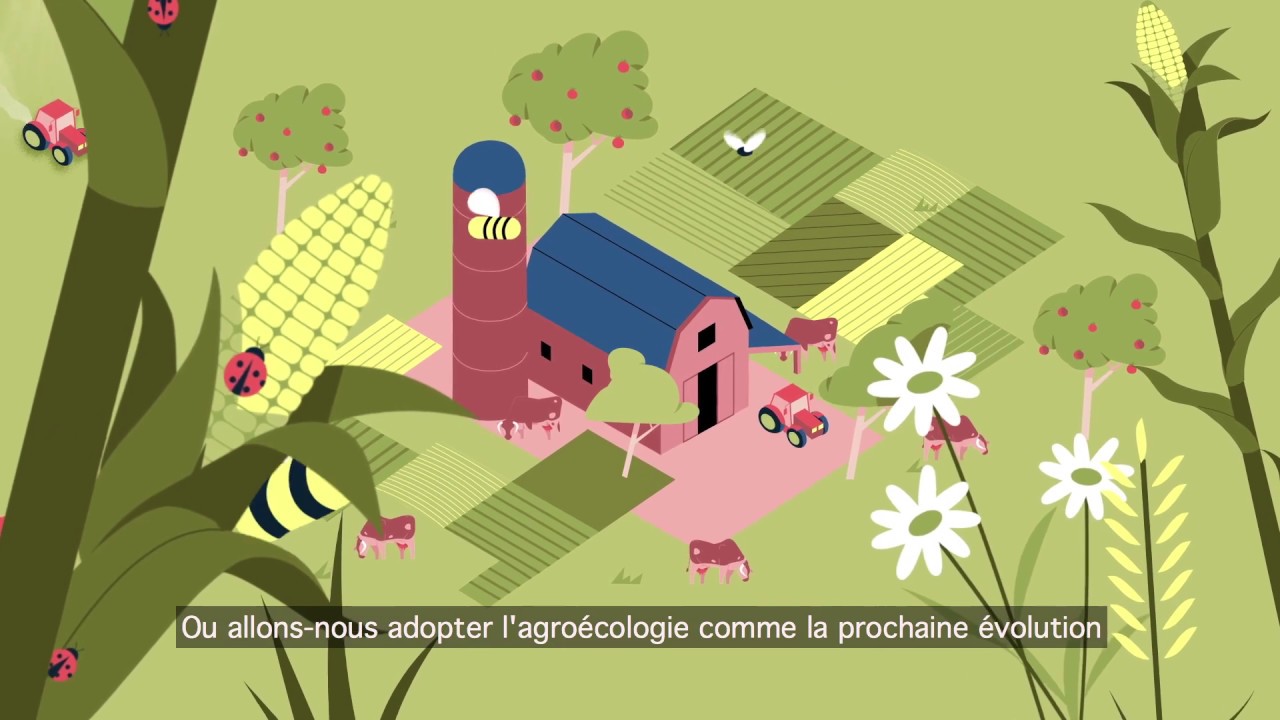Qu'est-ce que l'agroécologie? - YouTube