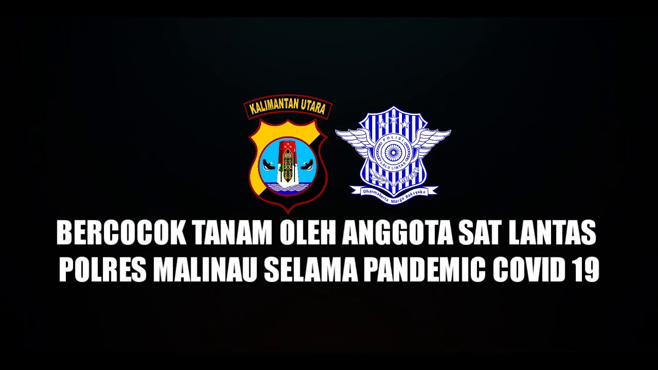 Bercocok tanam oleh atta sat lantas polres malinau - YouTube