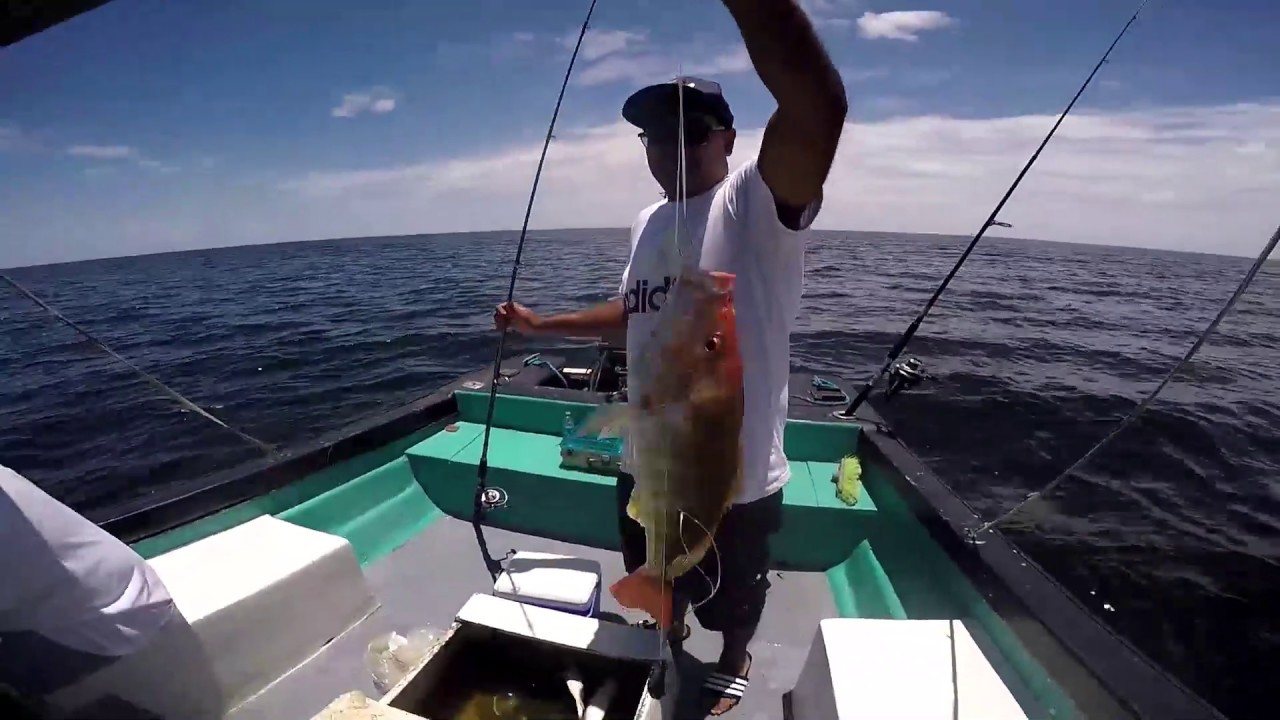 Fishing DDI Trinidad 2018- Salmon, Red Fish, Cro-Cro. - YouTube