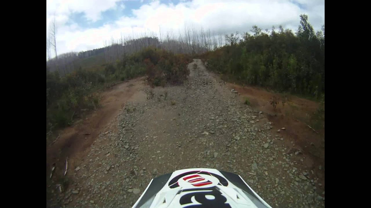 Limberlost Trail, Victoria State Forest, 27th October 2012 - YouTube