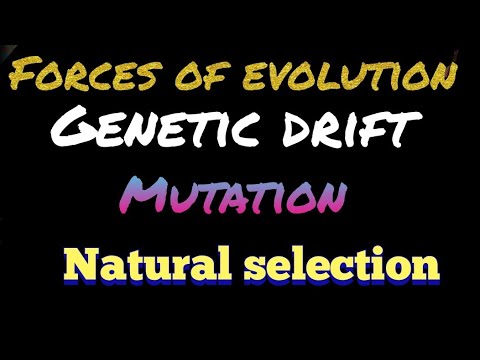 Forces of evolution | Mutation| Natural selection| Genetic Drift ...